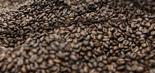 Coffee | Manatee Coffee